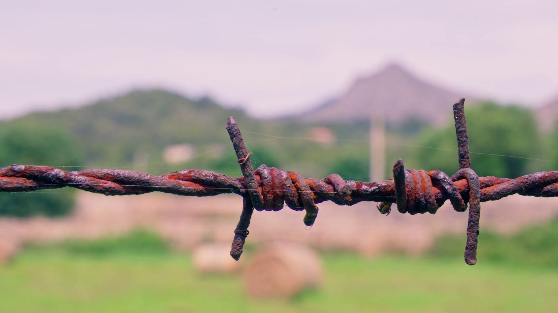 Barbed Wire On Background Of Rural Landscape Stock Footage SBV ...
