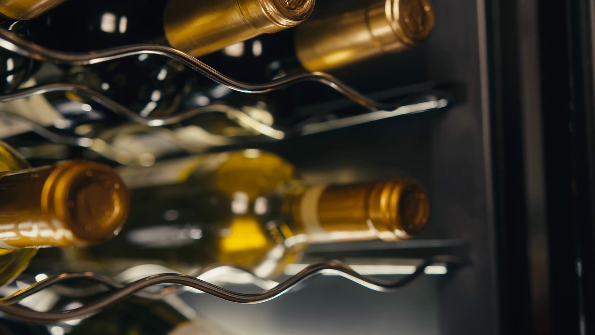 Storing Bottles Of Wine In Fridge Close Up Stock Footage SBV-351688816 ...