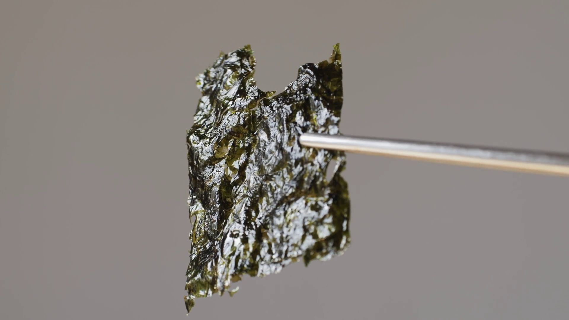 Nori Leaf Texture Close-up Of Nori Leaf Stock Footage SBV-352092102 ...