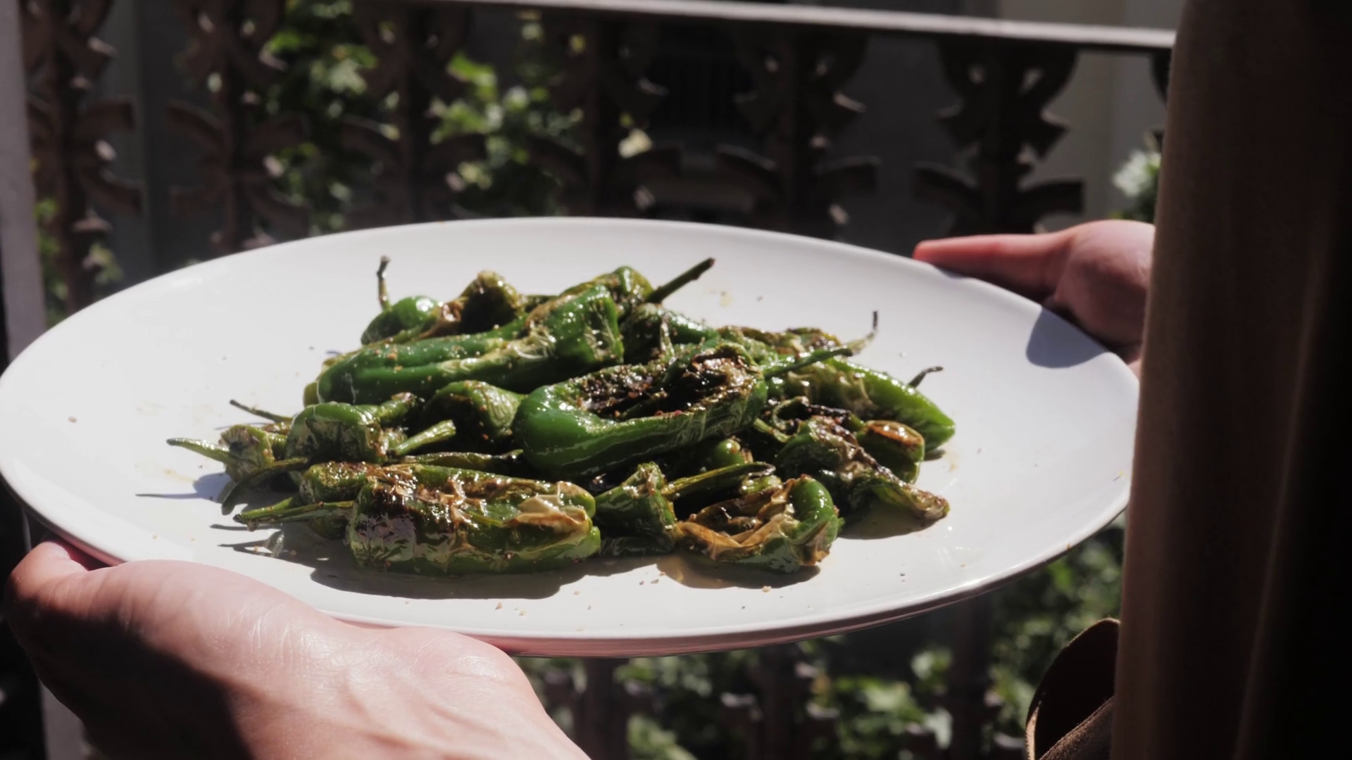 Traditional Spanish Patron Peppers Green Stock Footage SBV-347109081 ...