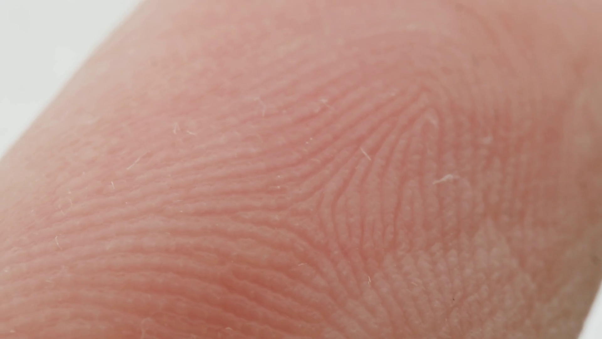 Close-up Of Man Hand Skin Texture Macro Stock Footage SBV-347798299 ...