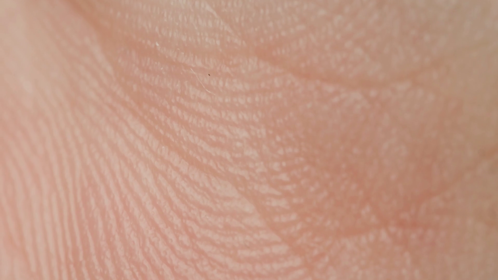 Close-up Of Man Hand Skin Texture Macro Stock Footage SBV-348641296 ...