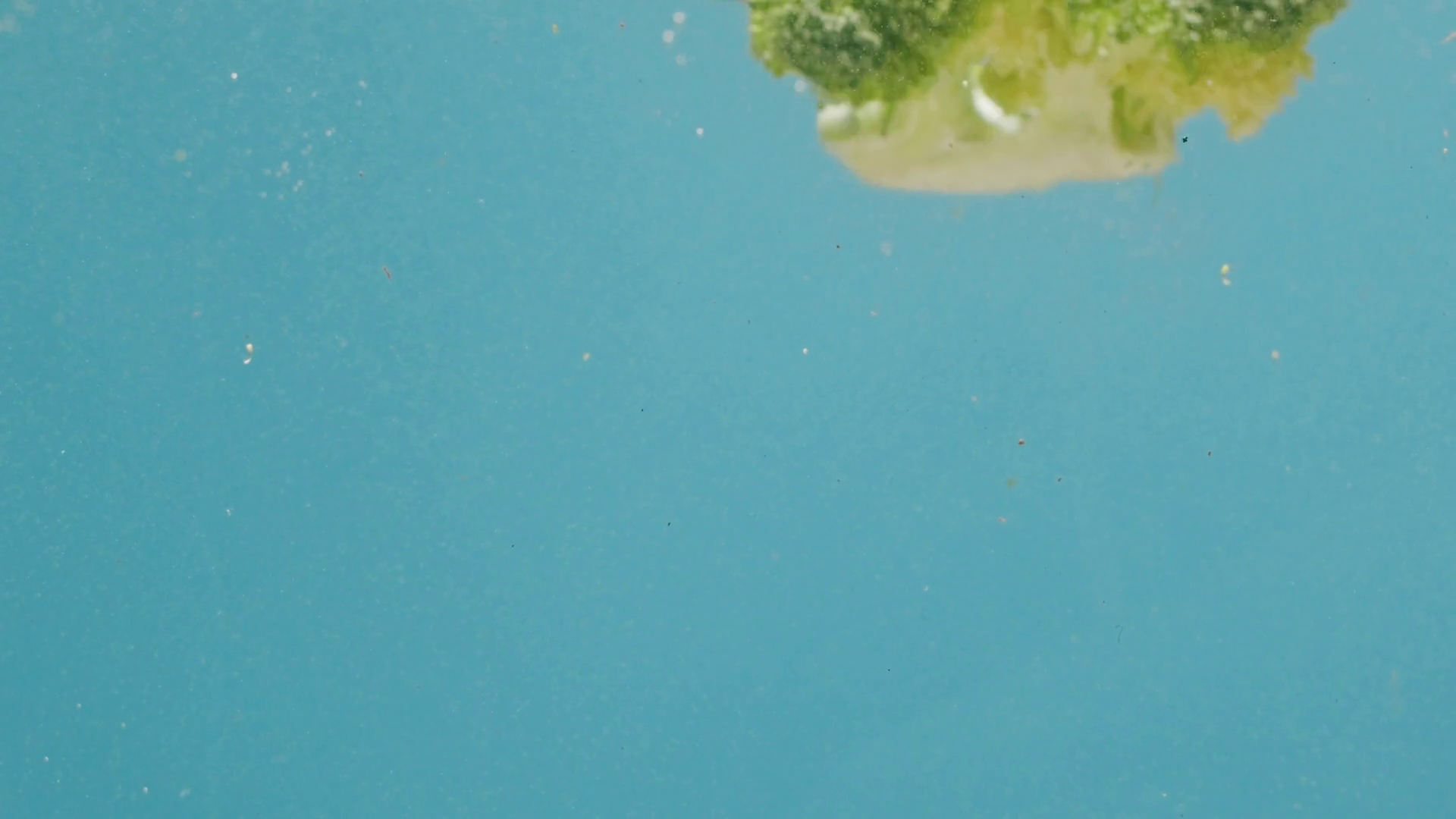 Green Broccoli Pieces Falling Into Water - Stock Footage SBV-348829740 ...