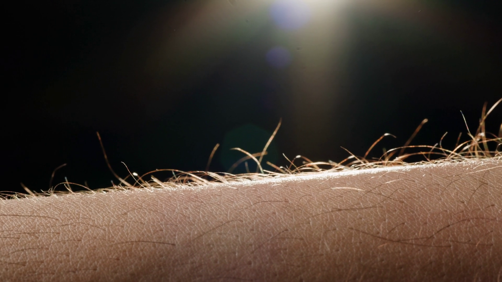 Hand Skin Texture Hair Goosebumps Close-up Stock Footage SBV-347727173 ...