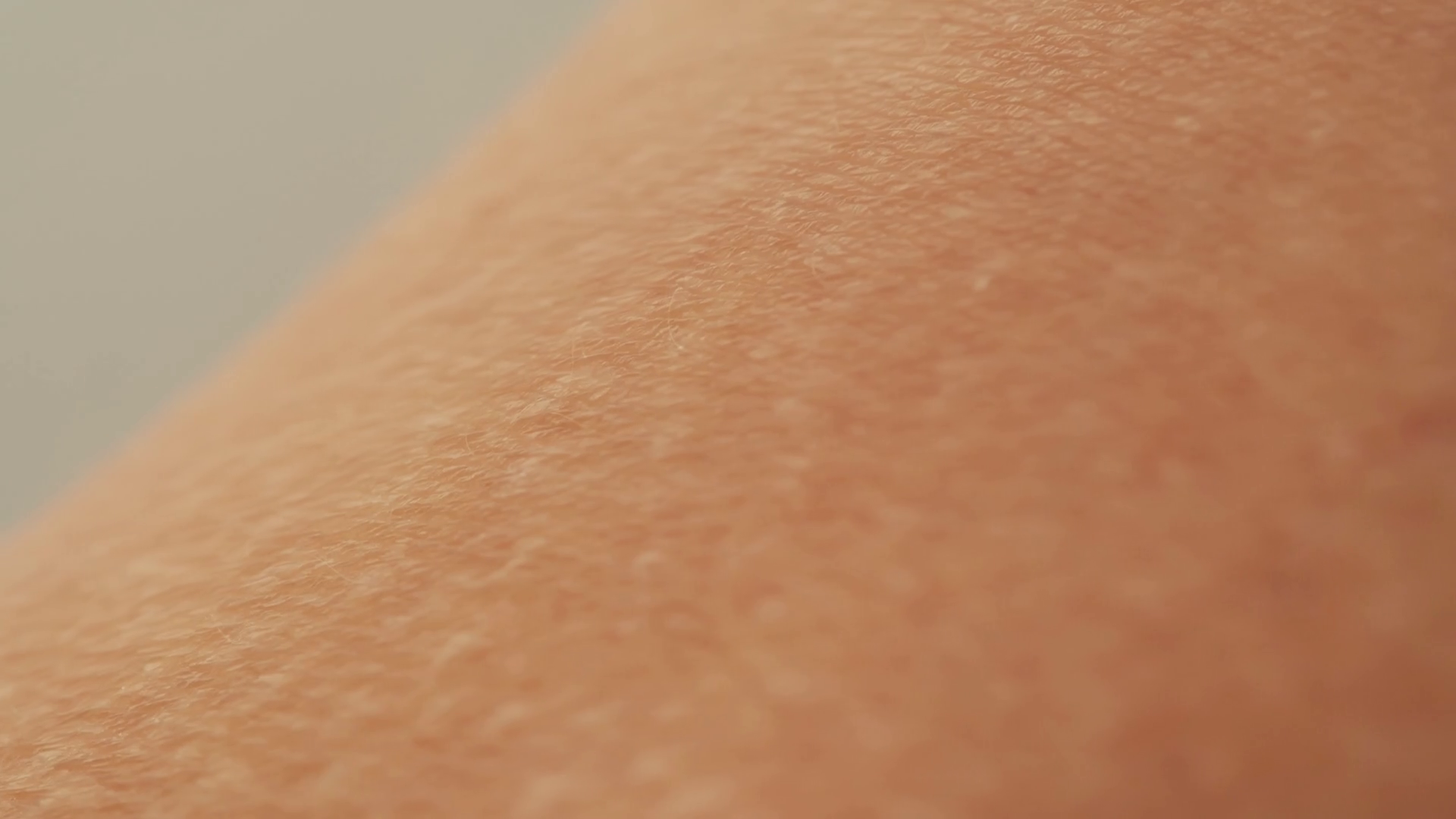 Hand Surface With Hair Close-up Human Skin Stock Footage SBV-347798329 ...