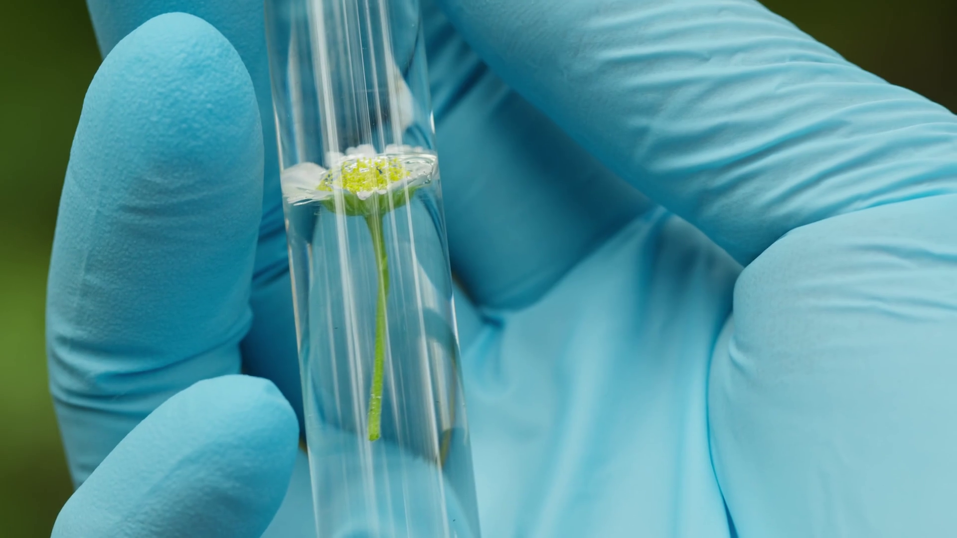 Taking Probe Of Soil In Forest Geologist Man Stock Footage SBV ...