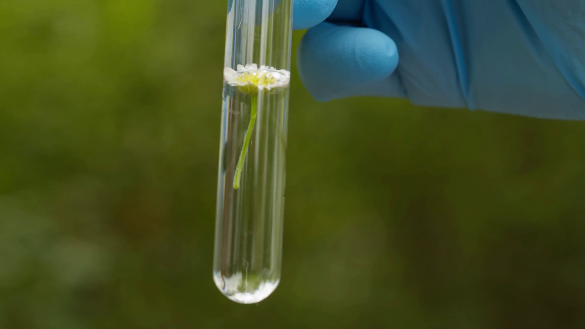 Taking Probe Of Soil In Forest Geologist Man Stock Footage SBV ...