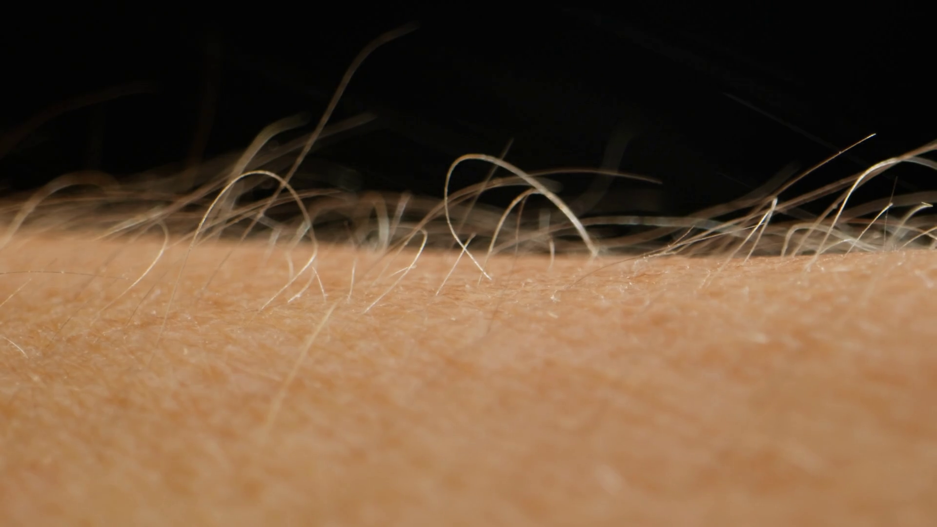 Man Hand Skin Texture Close-up Hair Arm Stock Footage SBV-348693807 ...