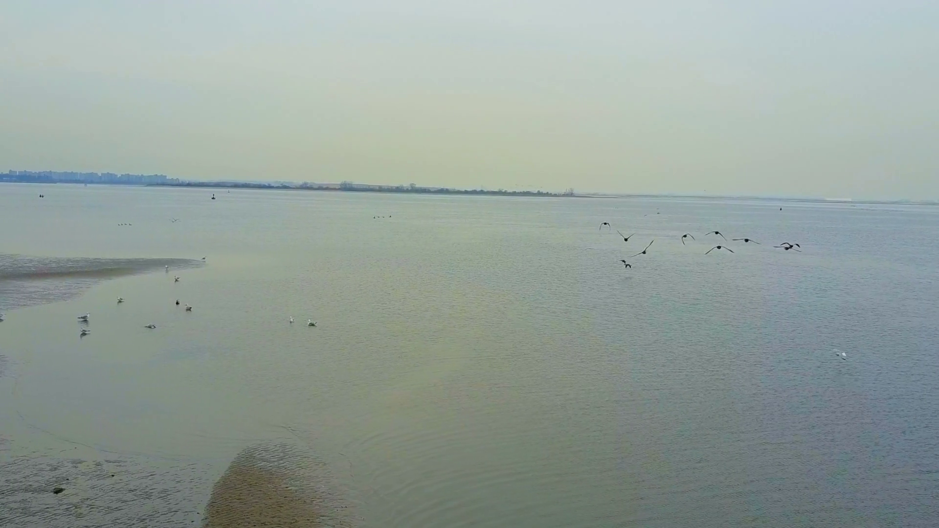 Aerial Shot Of Flying Ducks Stock Video Footage 00:28 SBV-347075559 ...