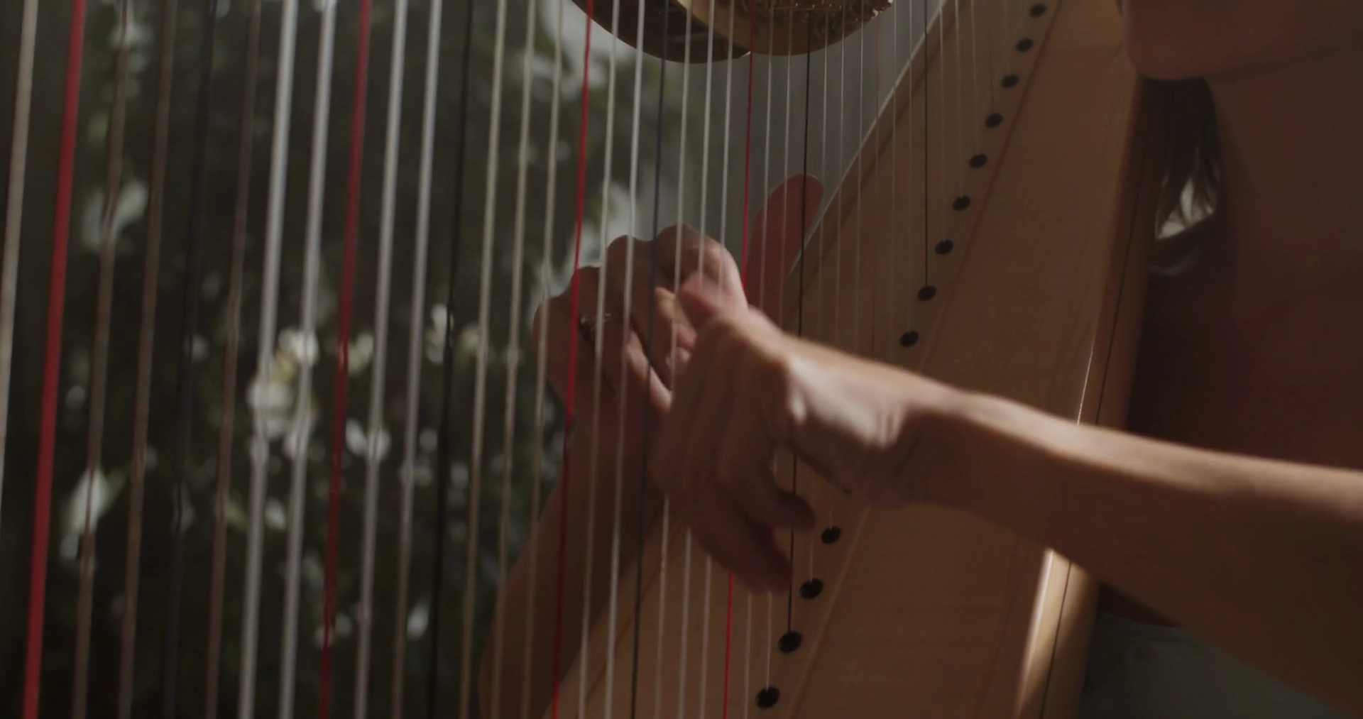 Hands Of Female Harpist Plucking Strings Of Stock Footage SBV-348470317 ...
