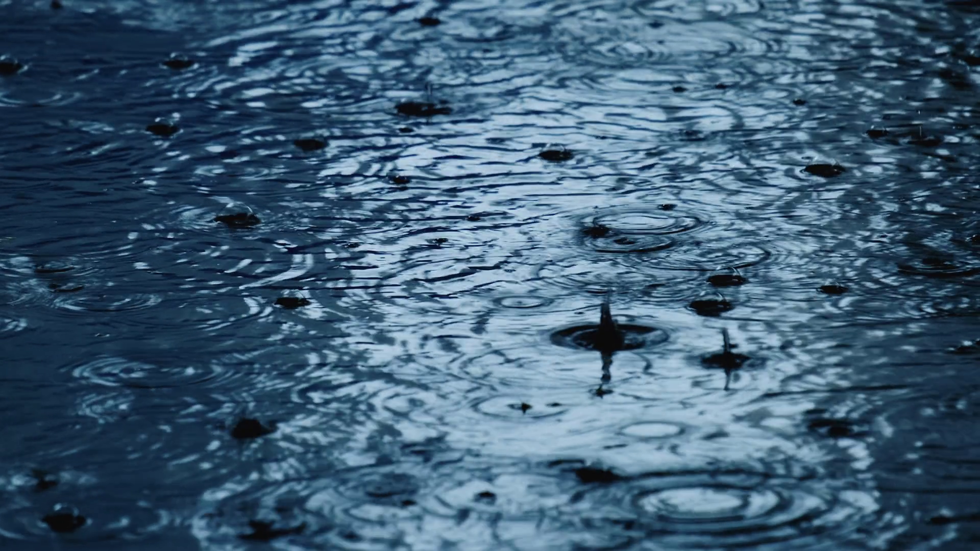 Slow Motion Of Heavy Rain With Multiple Stock Footage SBV-352382953 ...