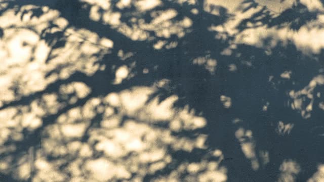 Concrete Texture | Nature stock footage - Storyblocks
