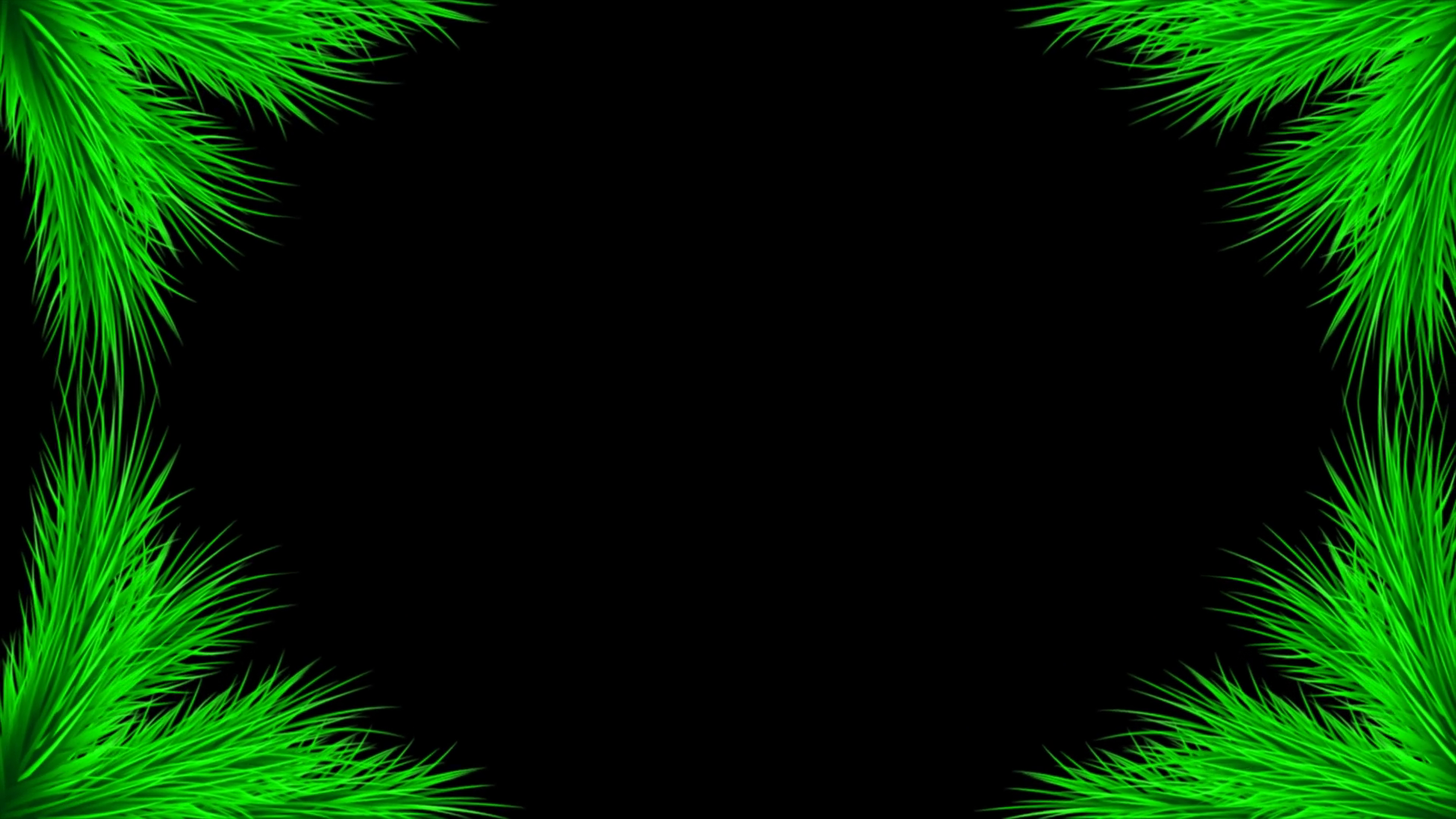 Tropical Summer Plants Leaves Border Frame Stock Motion Graphics SBV-351652170 - Storyblocks