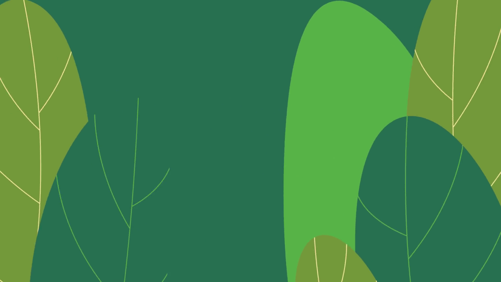 Leaf Transition Leaves Animation Video Stock Footage SBV-352168654 ...
