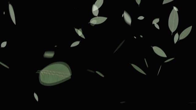 Animated Green Screen | Nature stock footage - Storyblocks