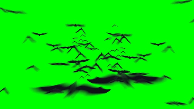 Download 192 Halloween Green Screen Motion Backgrounds - Storyblocks