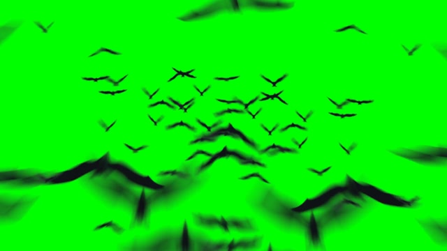 Scary Green Screen | Holidays and Celebrations motion backgrounds ...