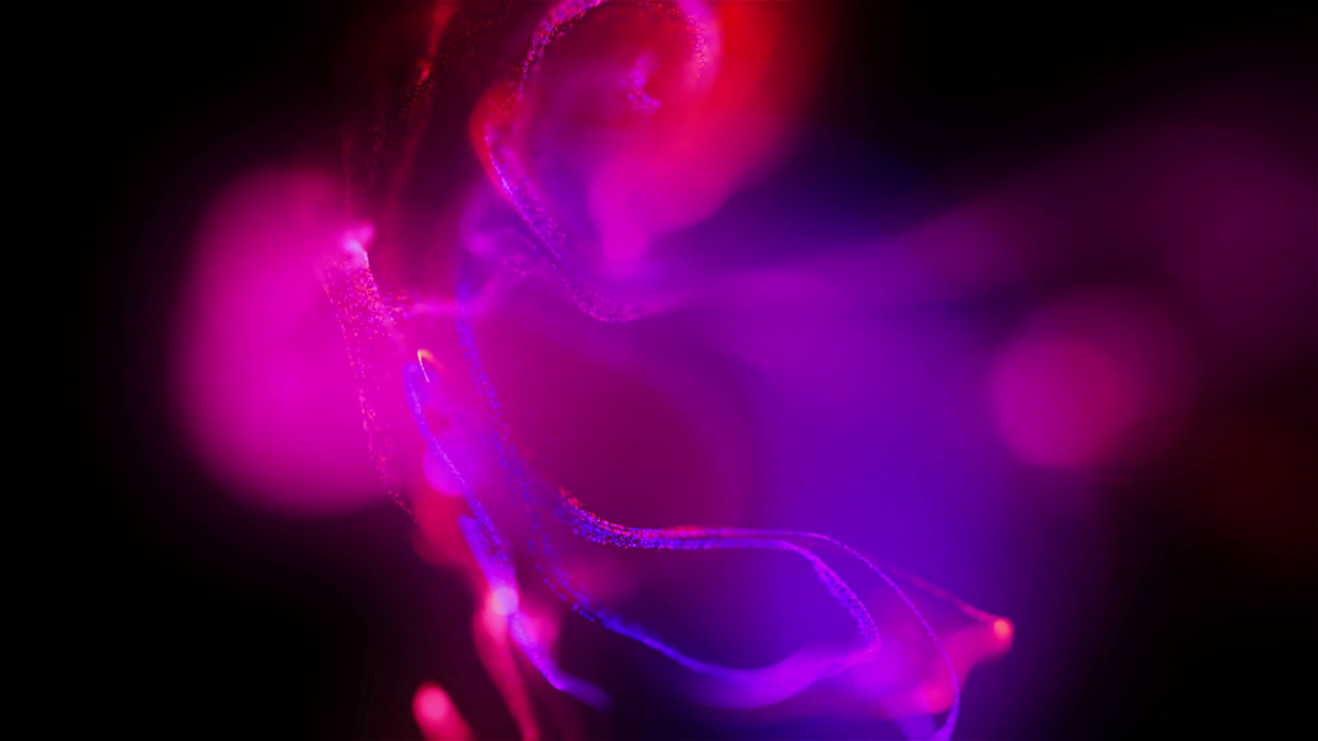 Abstract Colorful Splash Fluid Neon Particle Stock Motion Graphics SBV ...