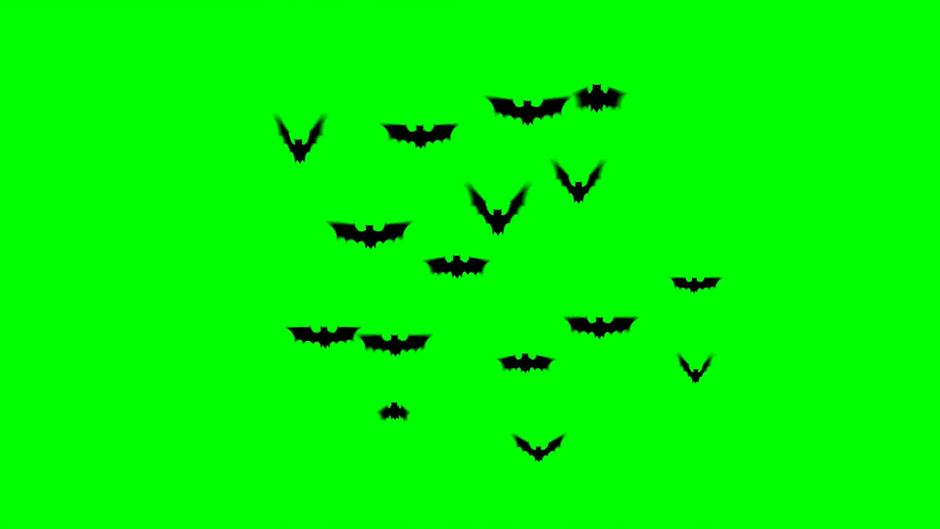 Halloween Bat Flying Loop Motion Graphics Stock Footage SBV-348660188 ...
