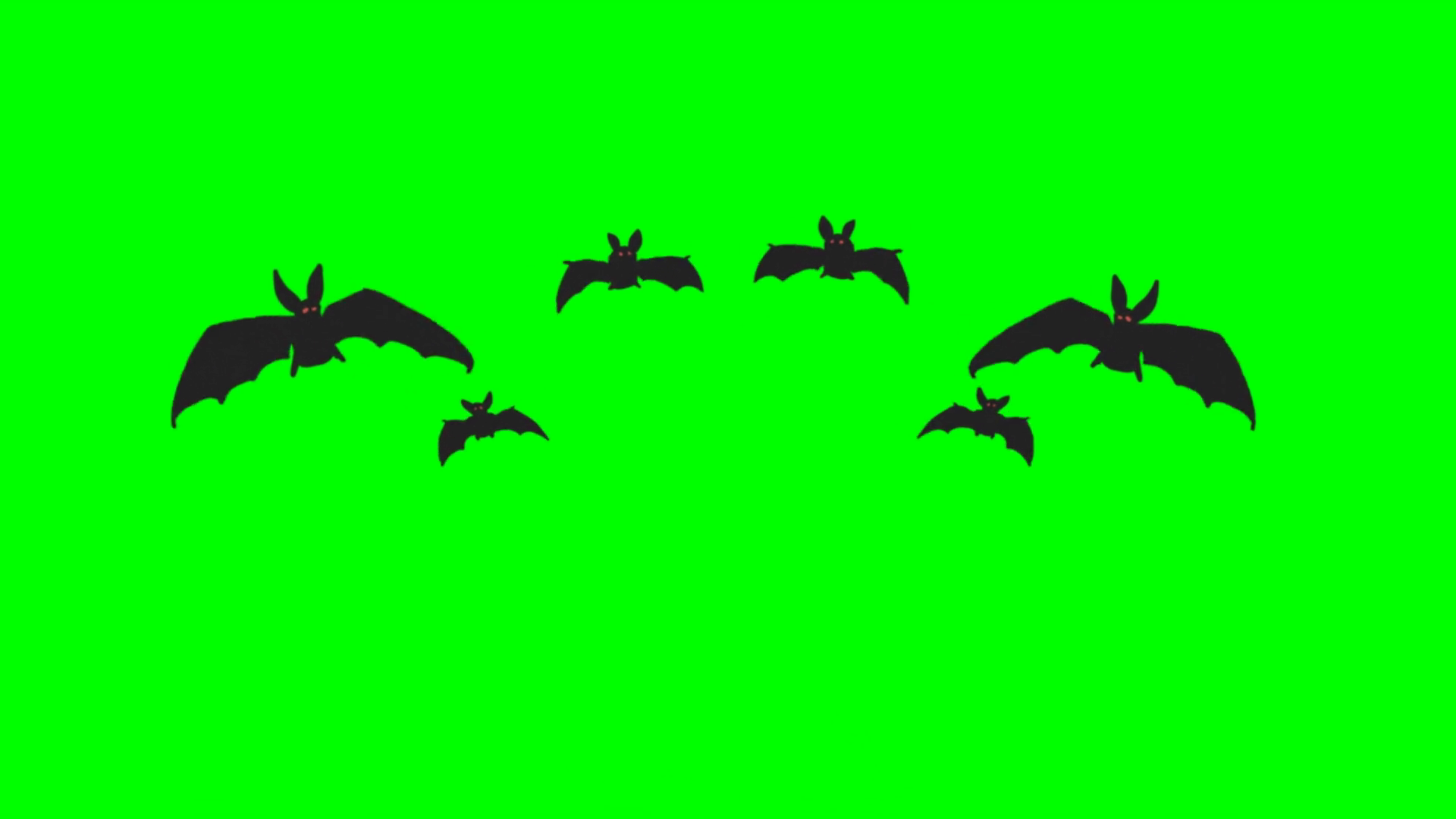 Halloween Bat Flying Loop Motion Graphics Stock Footage SBV-348660189 ...
