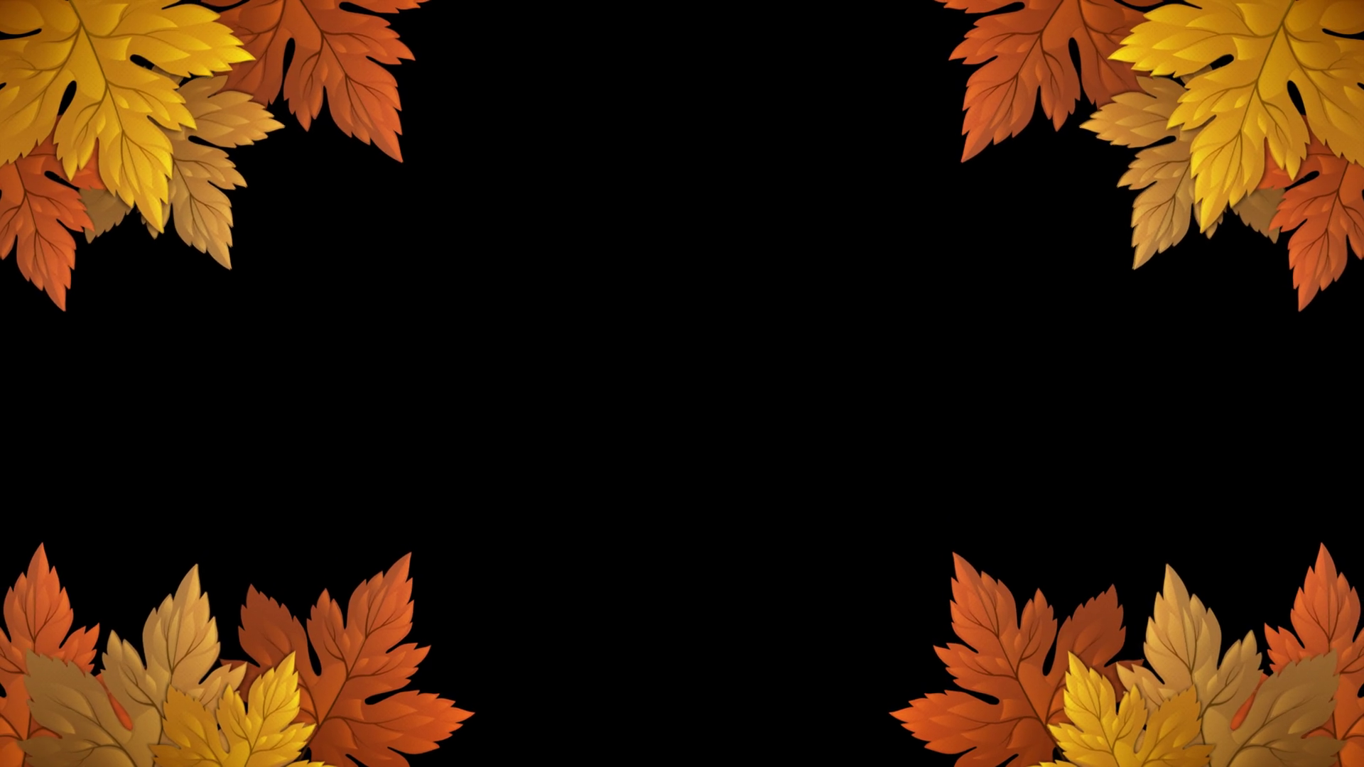 Autumn Colorful Leaves Thanksgiving Leaf Stock Motion Graphics SBV ...
