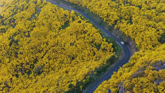 Car Moving Forward Stock Footage: Royalty-Free Video Clips - Storyblocks