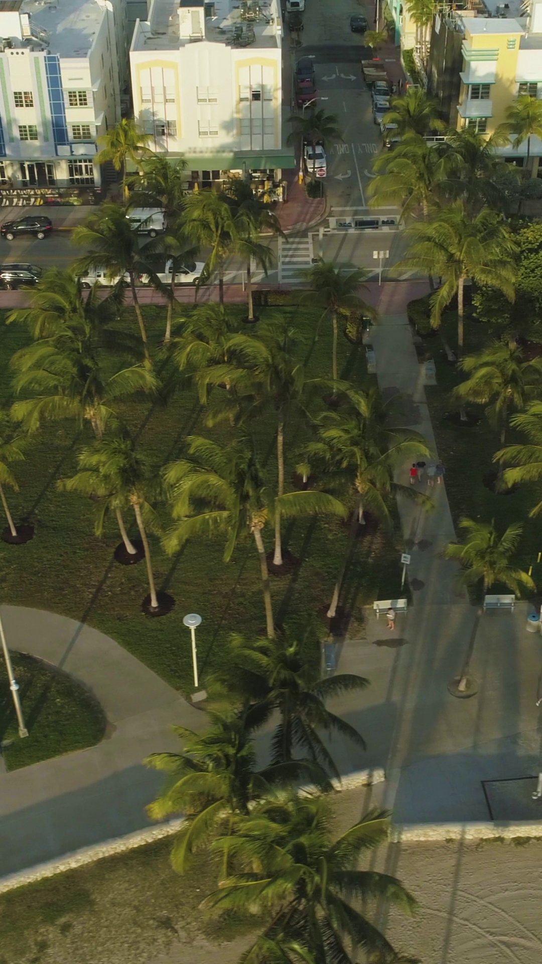Lummus Park Ocean Drive Miami South Beach Stock Footage SBV-353037220 ...