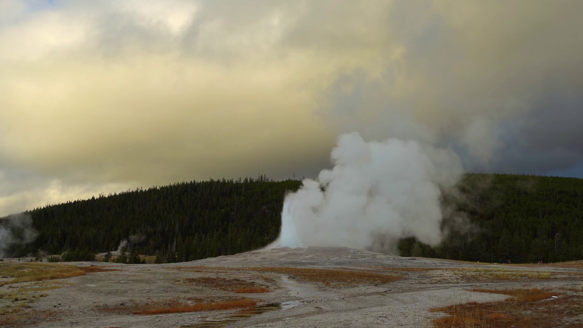 Old Faithful Geyser Eruption In Yellowstone Stock Footage SBV-347256331 ...