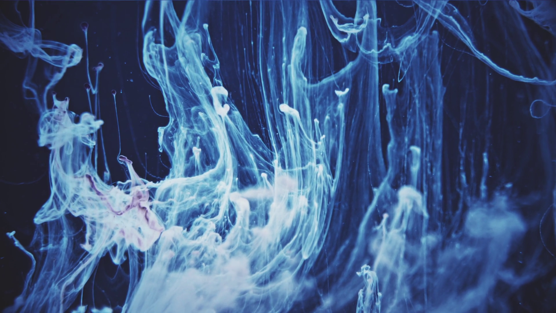 Abstract Ink Colour Flowing In Water Stock Motion Graphics SBV ...