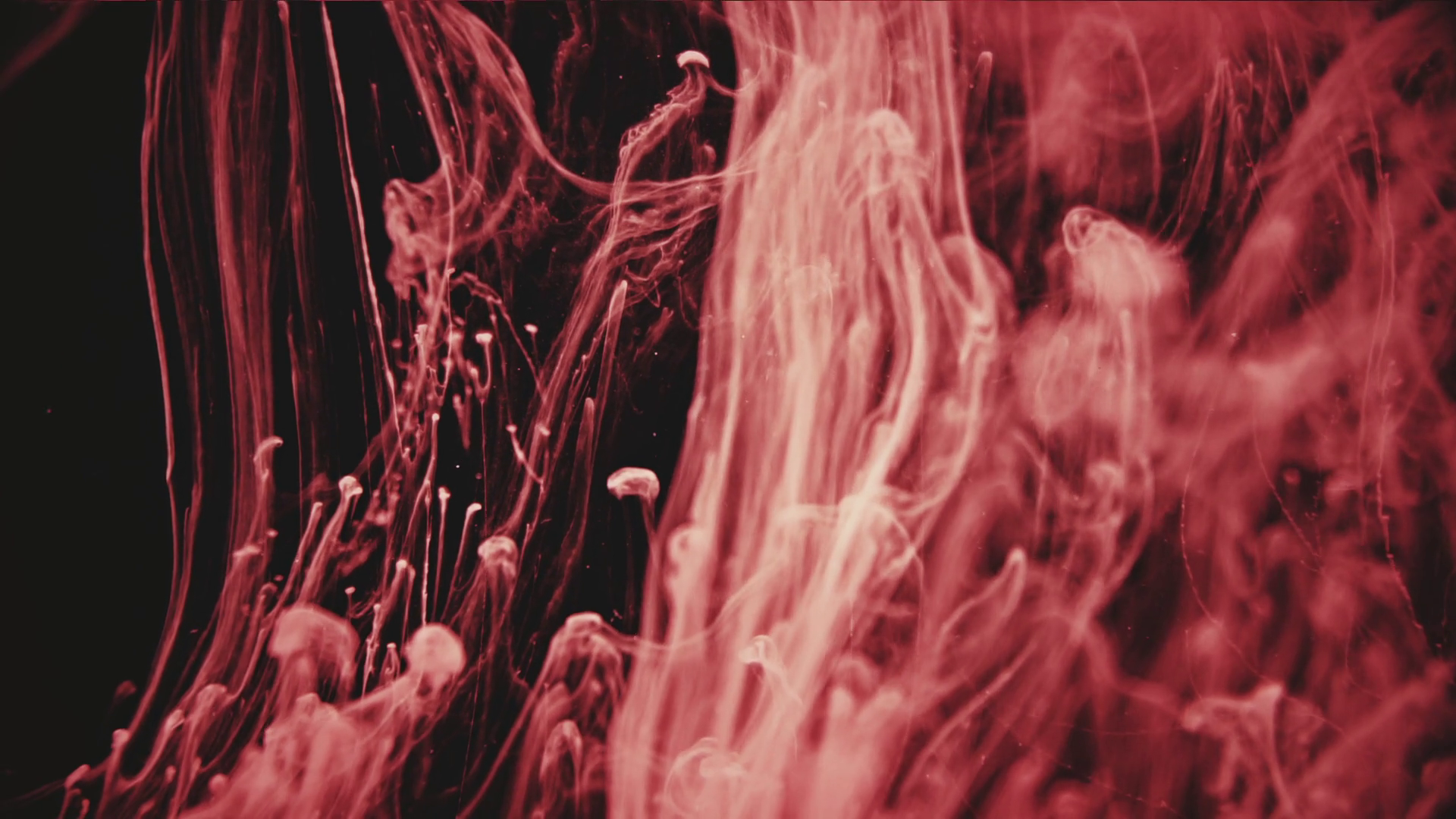 Abstract Red Ink Colour Flowing In Water Stock Motion Graphics SBV ...