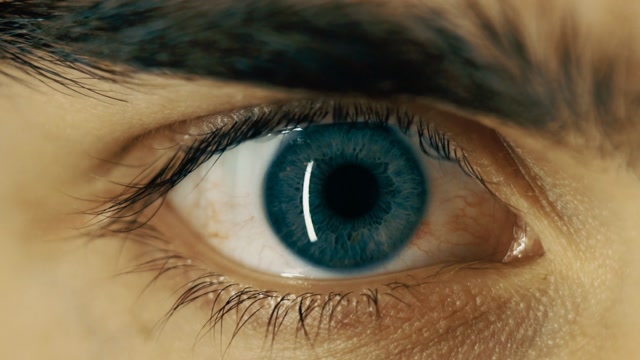 Blinking Eyes Stock Footage: Royalty-Free Video Clips - Storyblocks