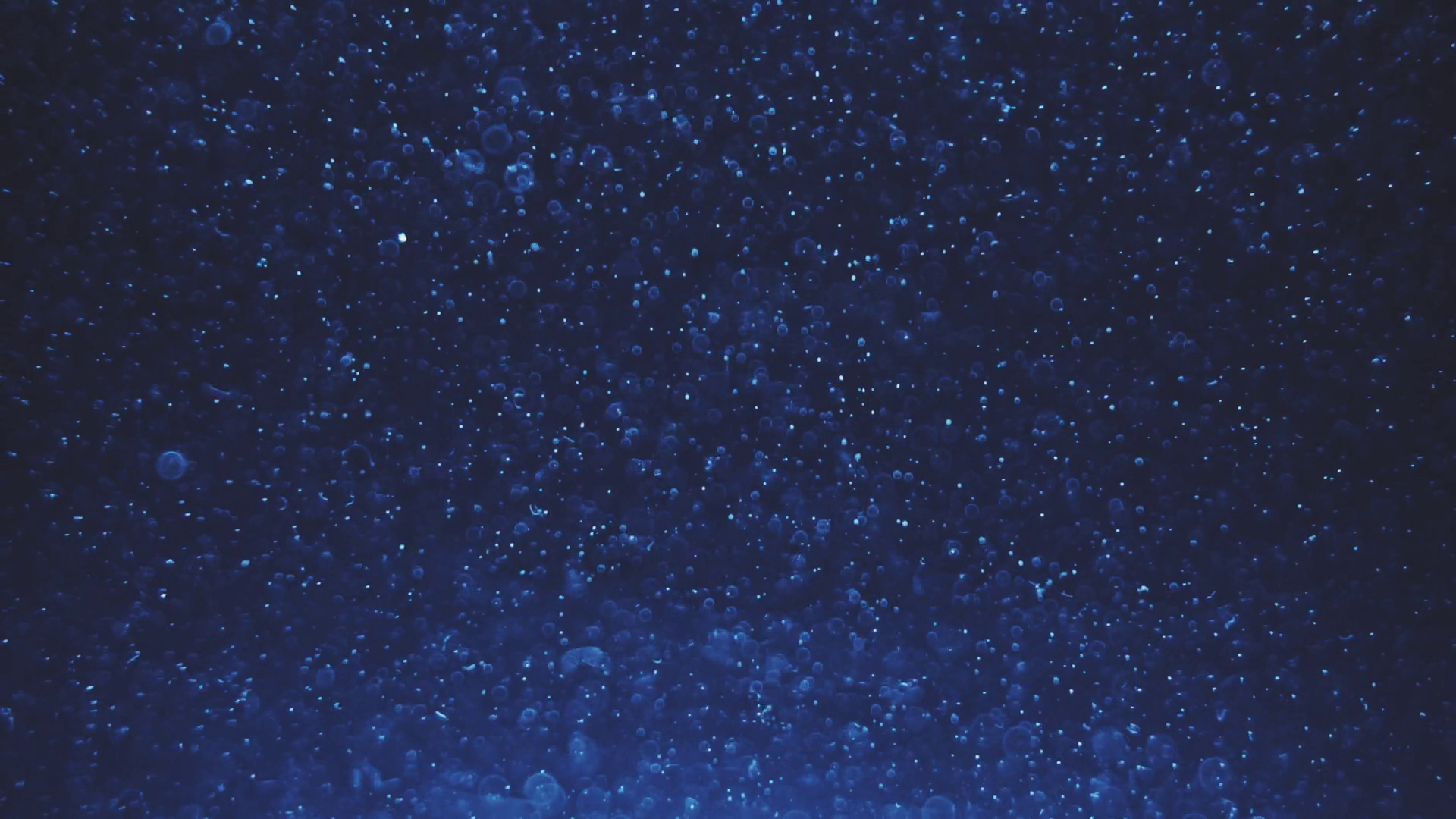 Particles In Water Abstract Background Stock Footage SBV-337835911 ...