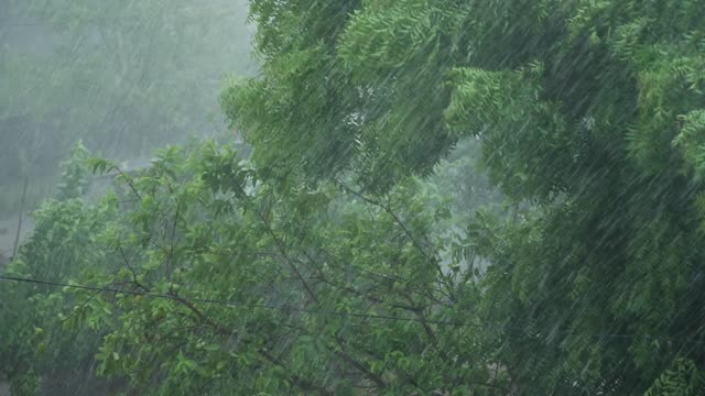 Rain Japan Stock Footage: Royalty-Free Video Clips - Storyblocks