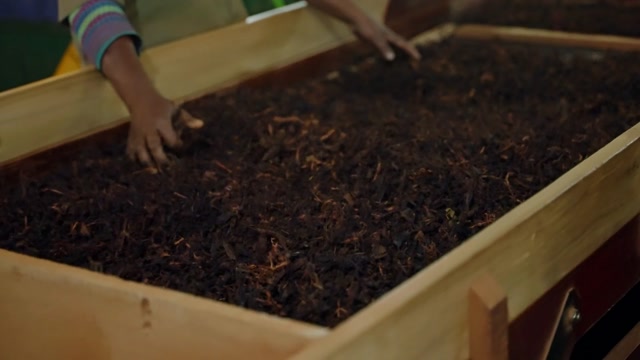 Sniffing Tobacco Stock Footage: Royalty-Free Video Clips - Storyblocks