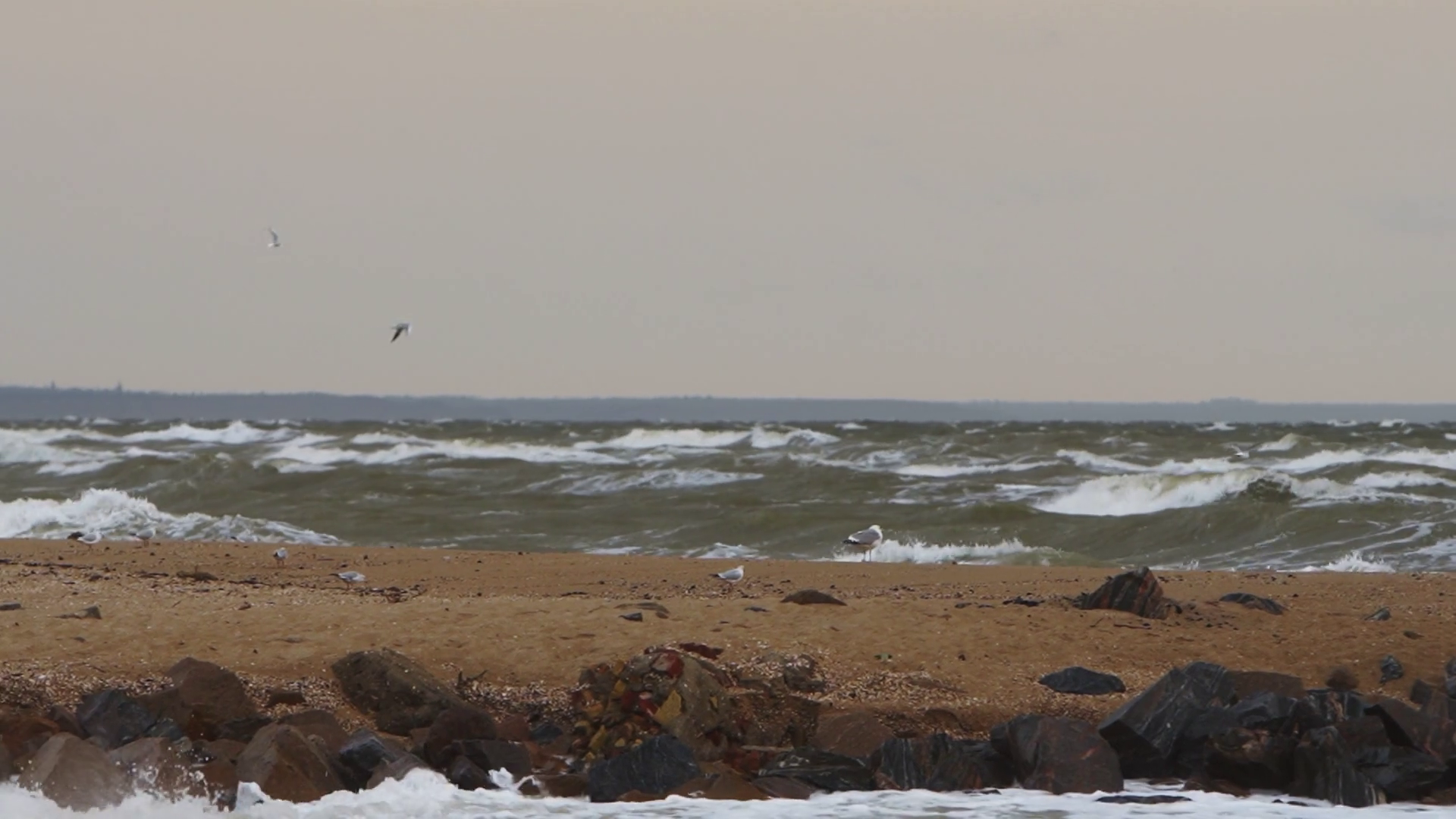 Choppy Sea Waves Crash Onto Sandy Beach With Stock Footage SBV ...