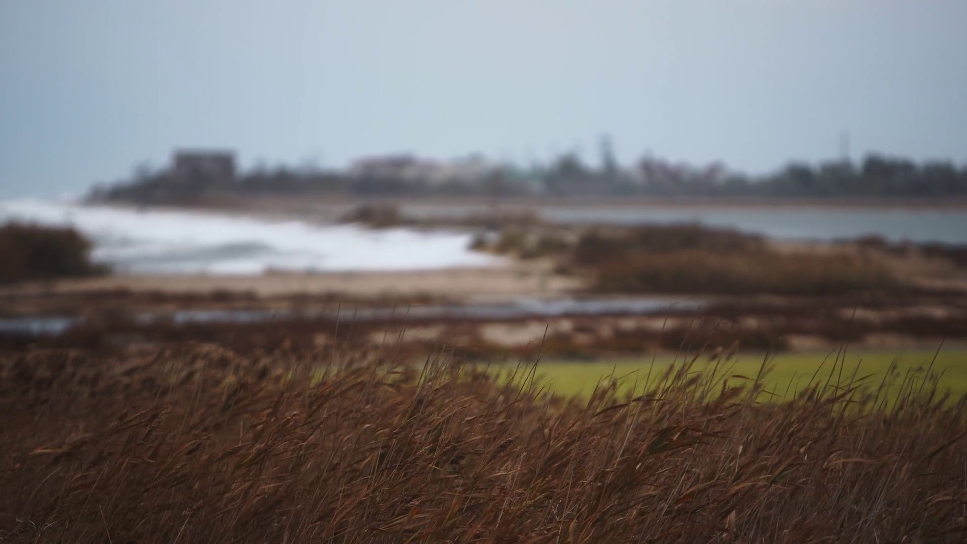 Choppy Sea Clashes Against Shore Strong Stock Footage SBV-348778944 ...