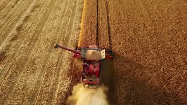 Dolly Forward Stock Footage: Royalty-Free Video Clips - Storyblocks