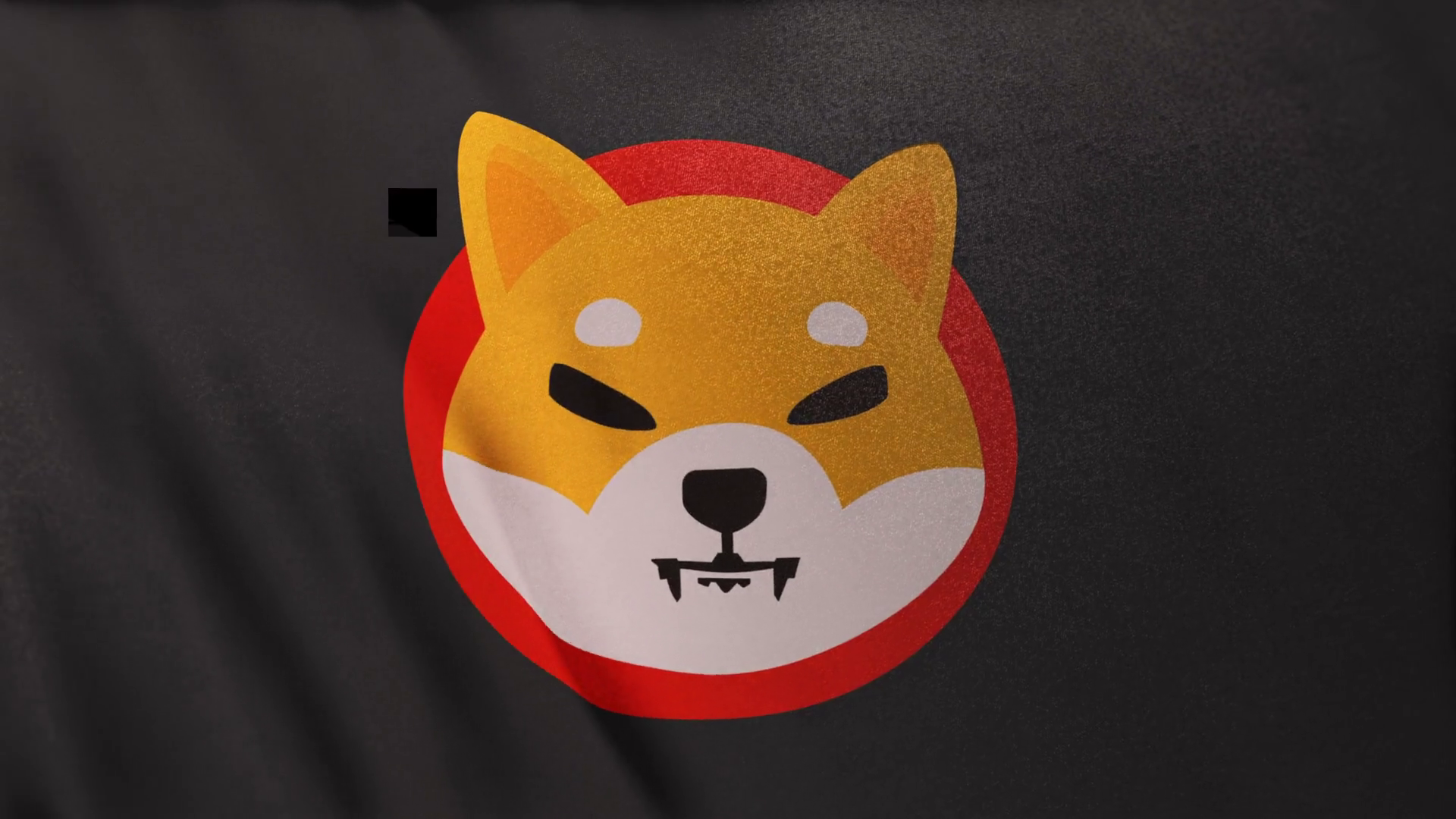 Shib Shiba Inu Coin Icon Logo On Gray Flag Stock Motion Graphics SBV ...