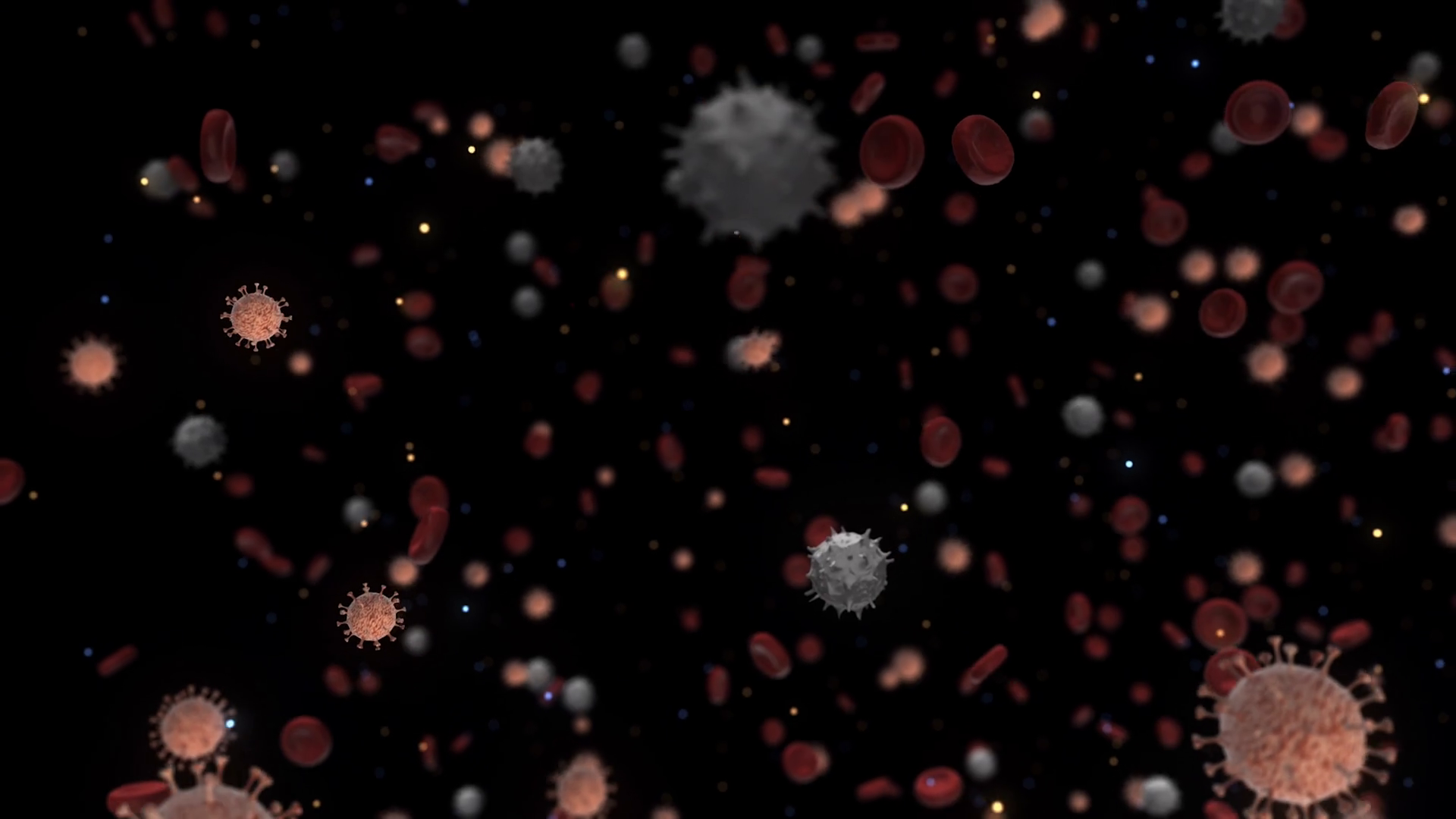 Coronavirus Covid Outbreak Bacteria In Blood Stock Motion Graphics SBV ...