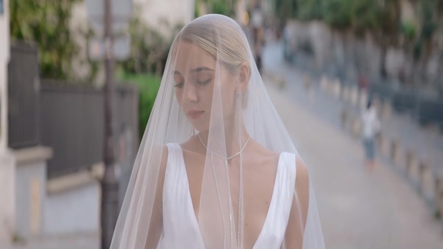 Bride Animation Stock Footage: Royalty-Free Video Clips - Storyblocks