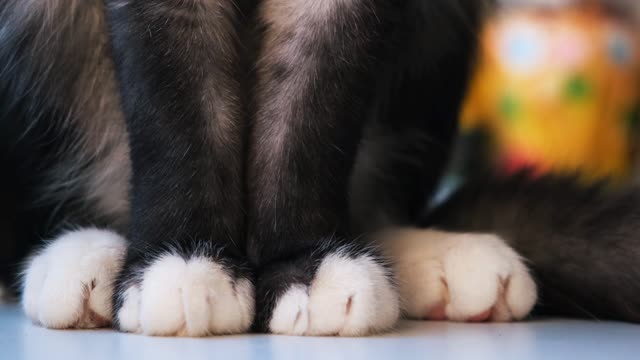 Claw Through Background Stock Footage: Royalty-Free Video Clips ...