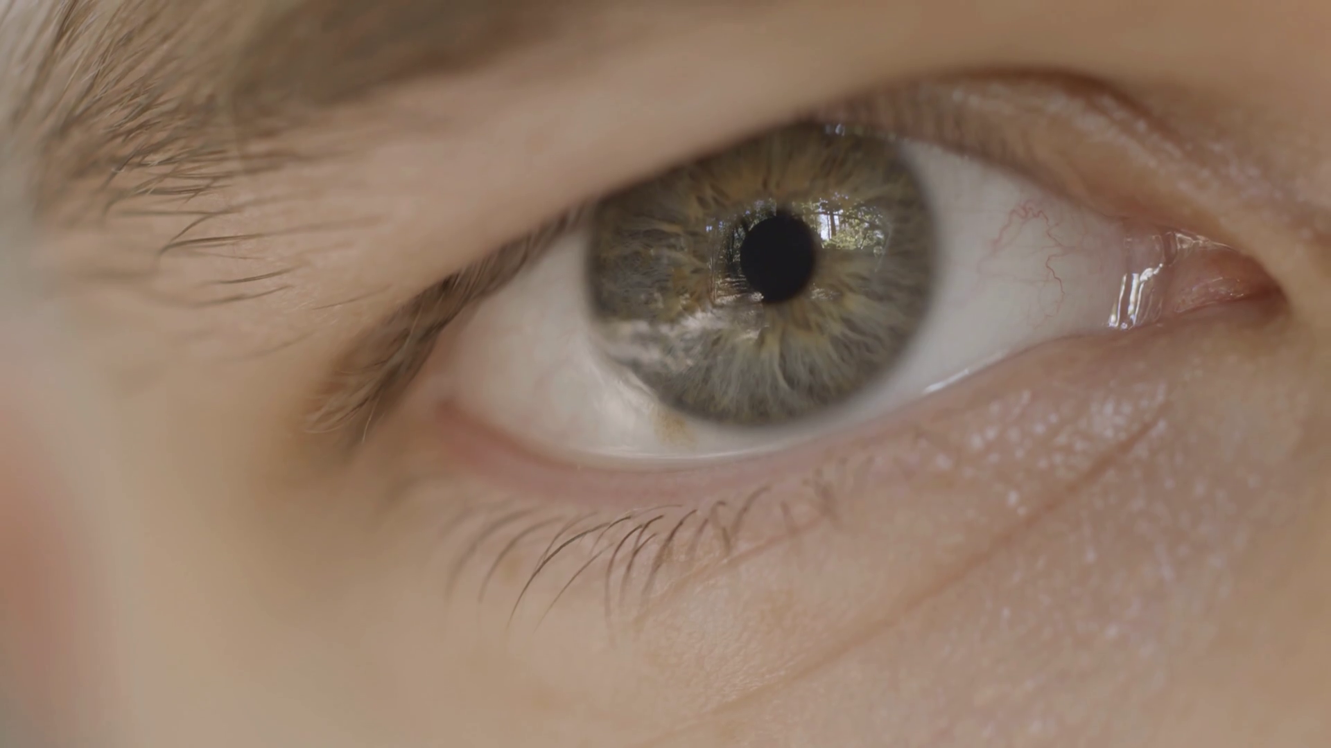 Macro Photography Of Man's Eye Action Stock Footage SBV-348489978 ...