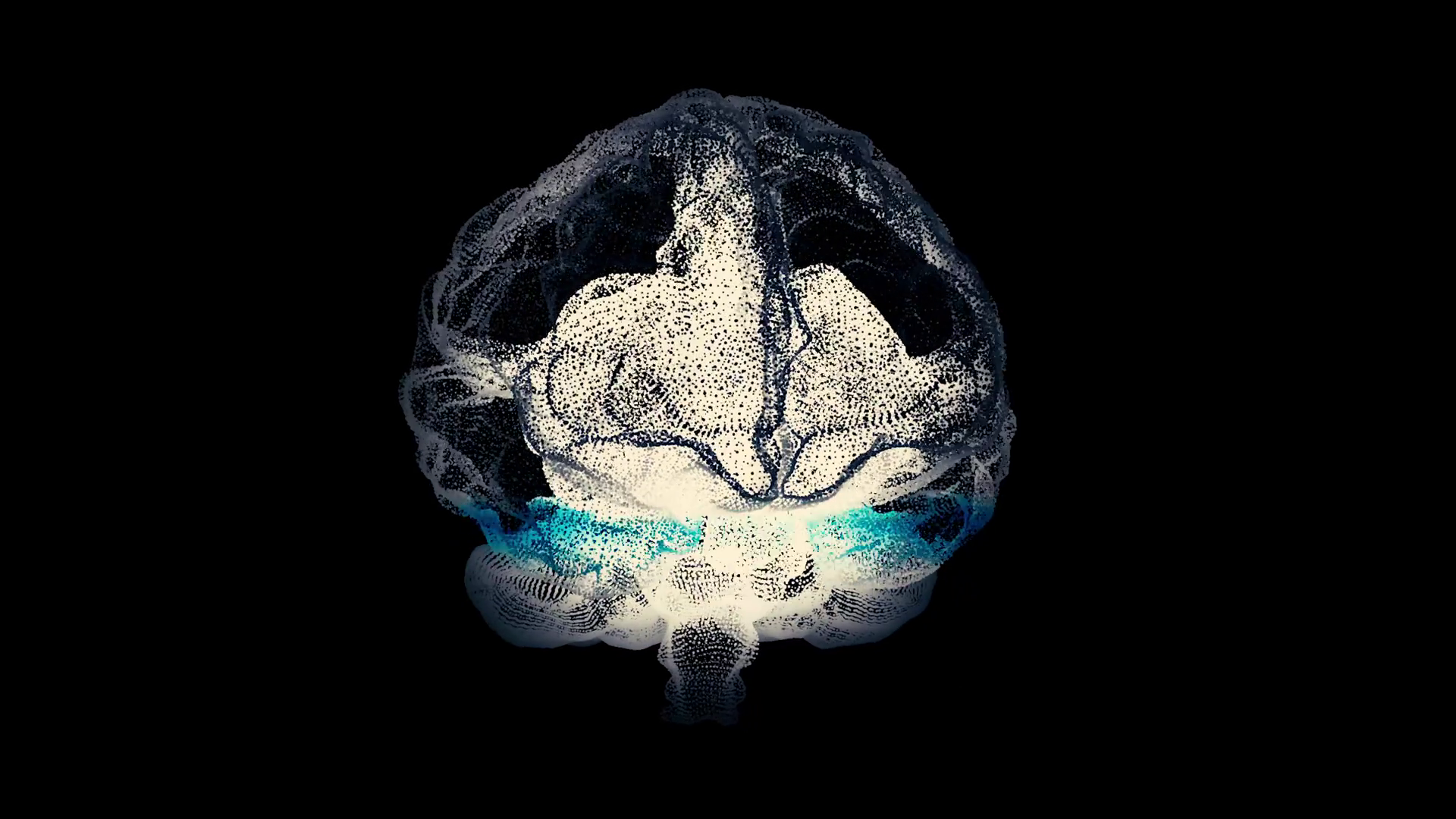 3d Render Xray Style Image Of Human Brain Stock Motion Graphics SBV ...