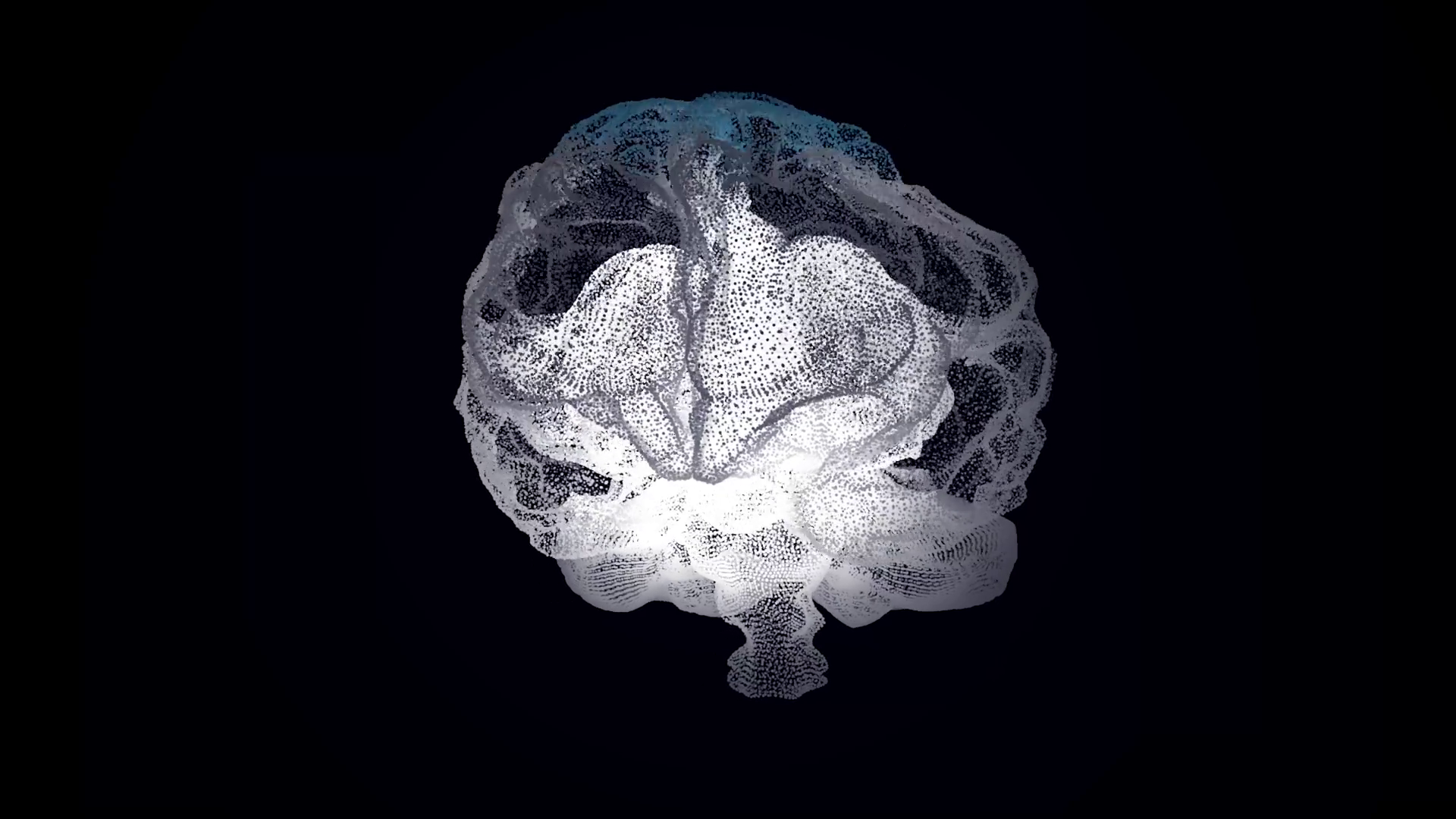 3d Render Xray Style Image Of Human Brain Stock Motion Graphics SBV ...