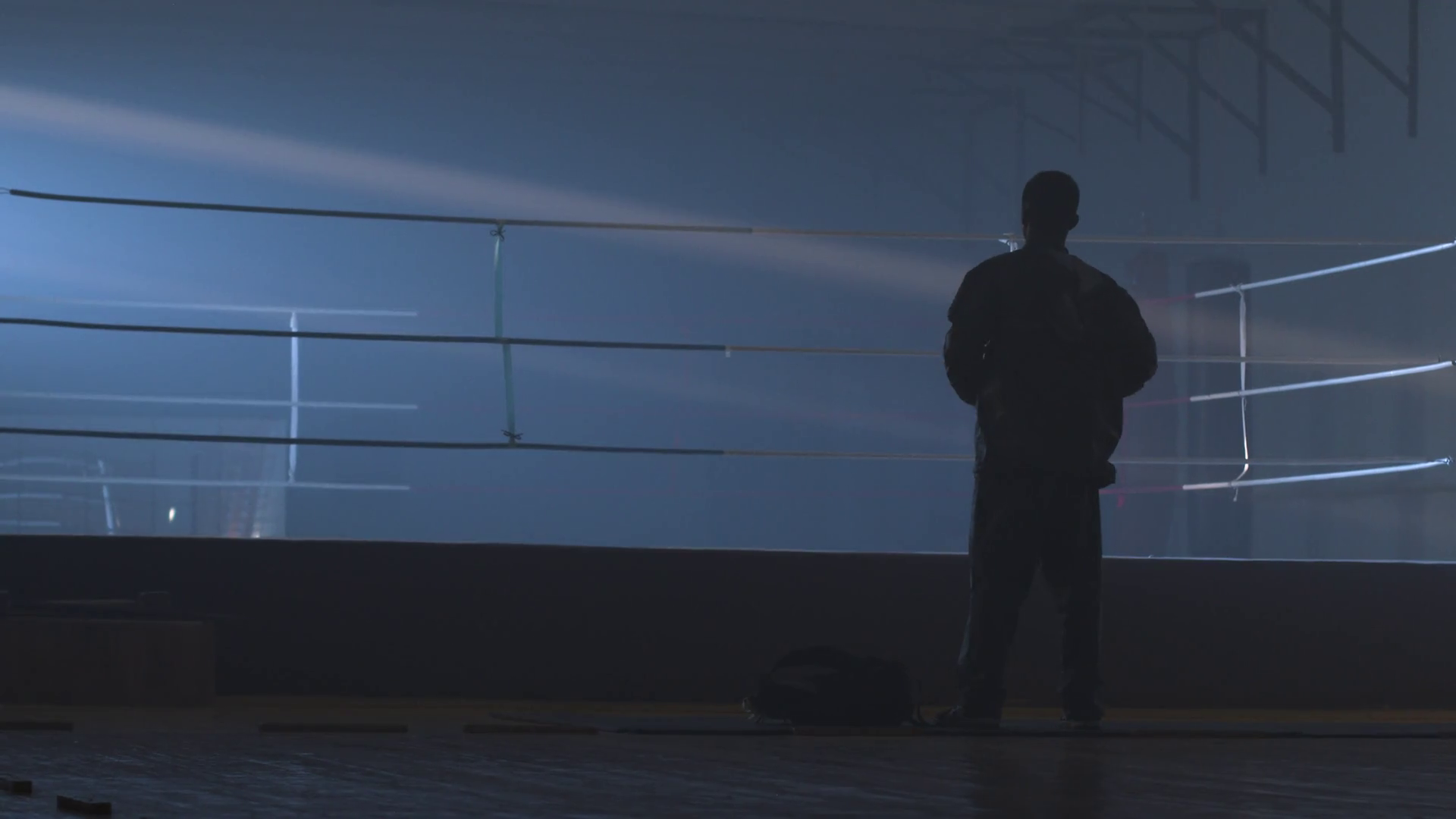 Back View Of Young Boxer On Grunge Stock Footage SBV-348520748 ...