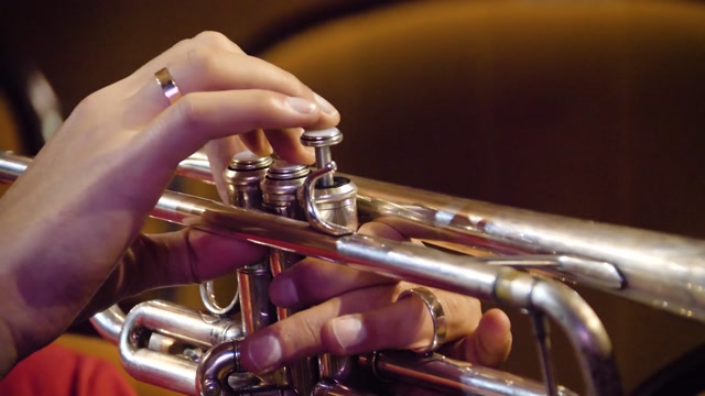 Trumpet Stock Footage: Royalty-Free Video Clips - Storyblocks