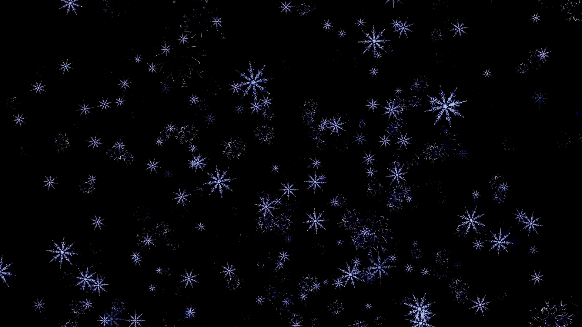 Beautiful Winter White Blue Snowflakes Stock Motion Graphics SBV-348536108 - Storyblocks