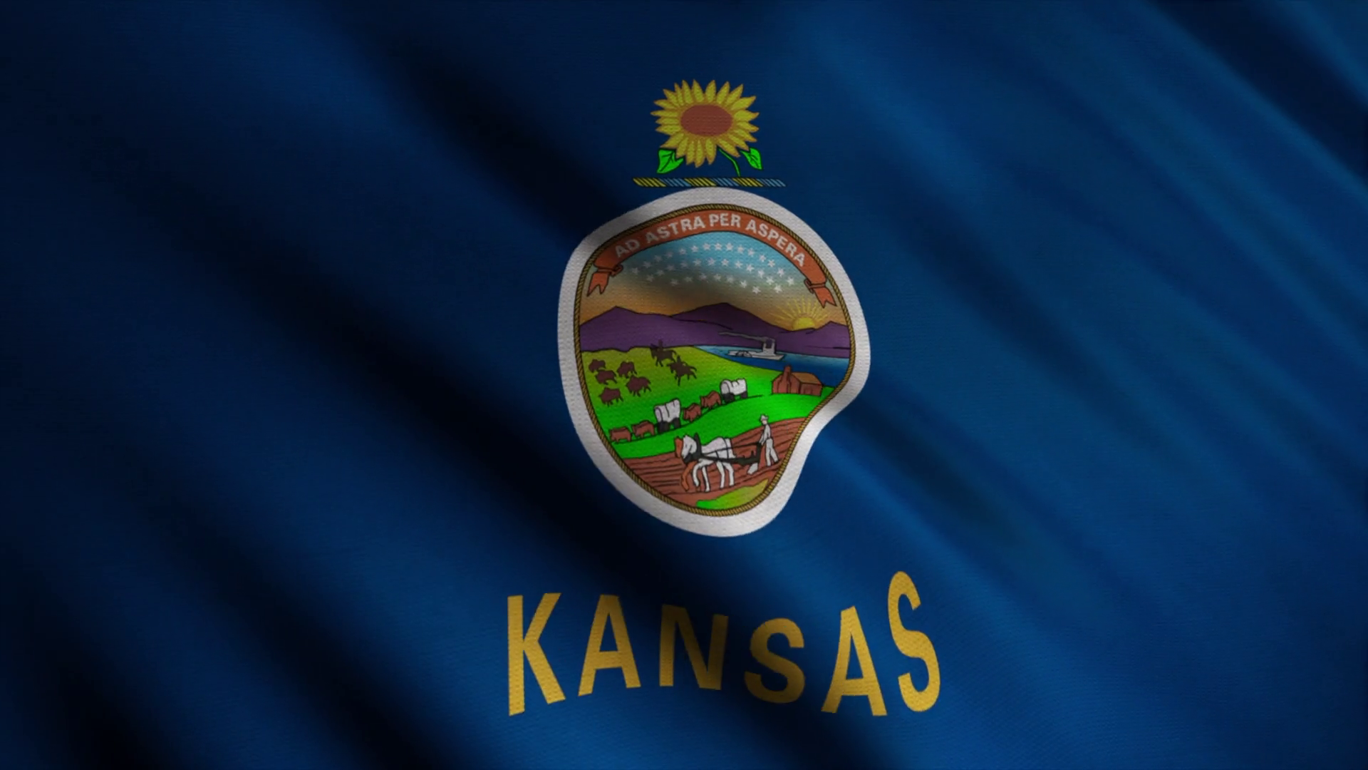 Abstract Animation Of Kansas-state Flag Stock Motion Graphics SBV ...