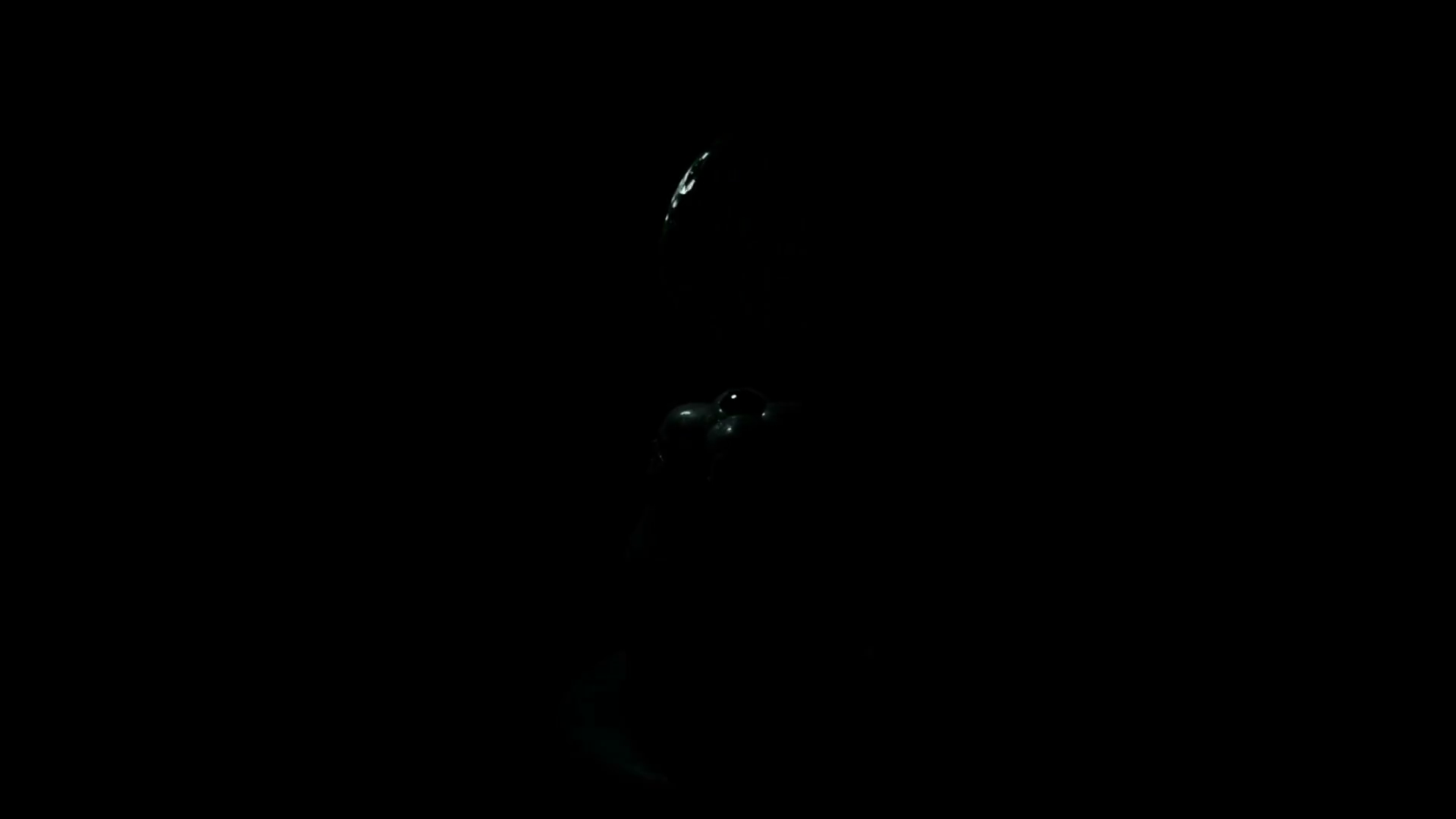 Close Up Of Single Alien Egg In Complete Stock Motion Graphics SBV ...
