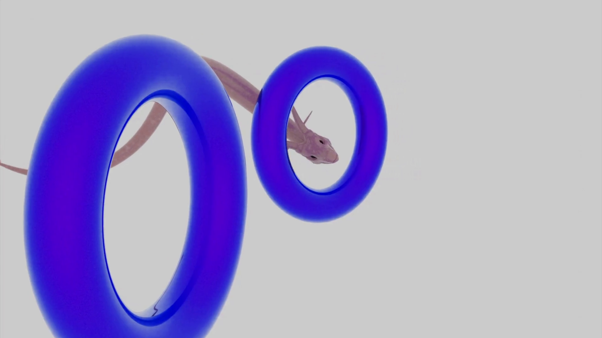 Magical Fairytale Asian Dragon Flying Stock Motion Graphics SBV ...